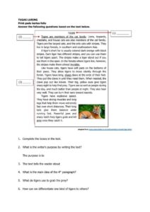 Contoh Report Text dalam Bahasa Inggris dan Strukturnya